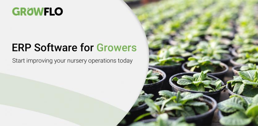 Growflo | Innovate NI